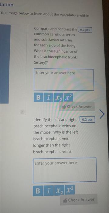 Solved lation the image below to learn about the vasculature | Chegg.com