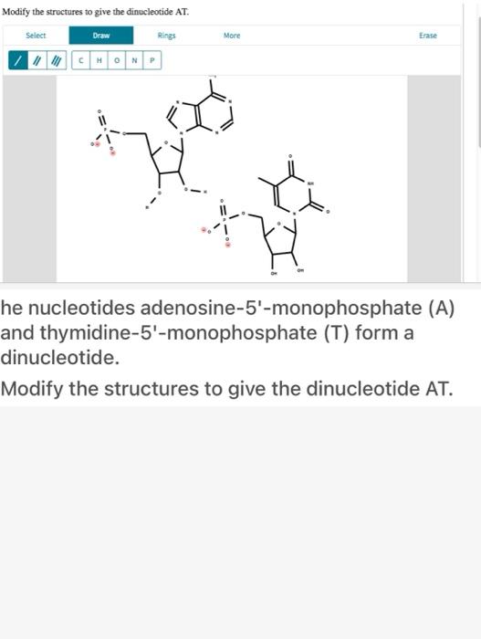 Solved Modify the structures to give the dinucleotide AT. | Chegg.com