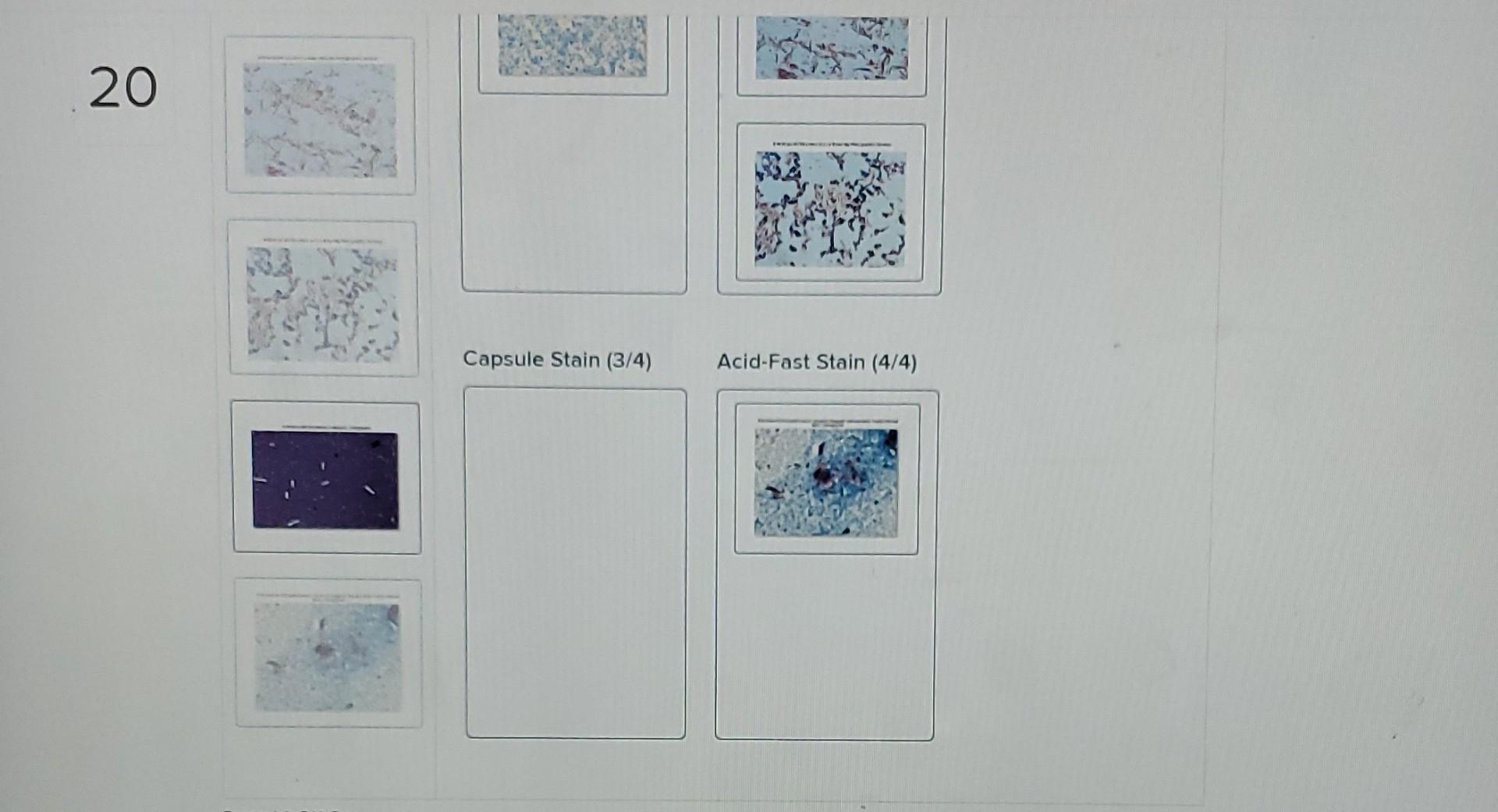 Solved 20 Drag the images to their corresponding class to | Chegg.com Solved 20 Drag the images to their corresponding class to | Chegg.com