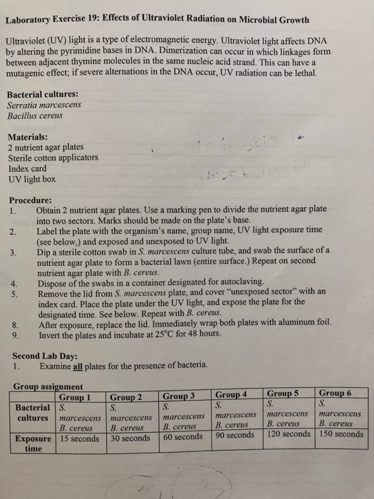 Solved Laboratory Exercise 19: Effects of Ultraviolet | Chegg.com