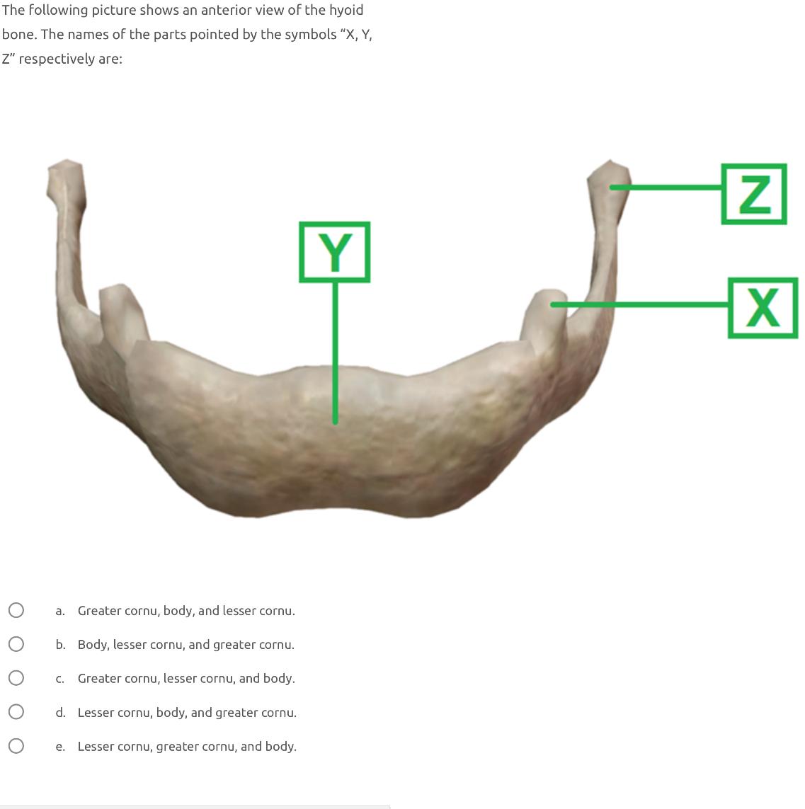 Solved The following picture shows an anterior view of the | Chegg.com