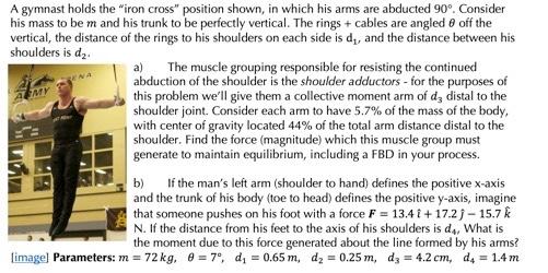 Solved A gymnast holds the "iron cross" position shown, in | Chegg.com