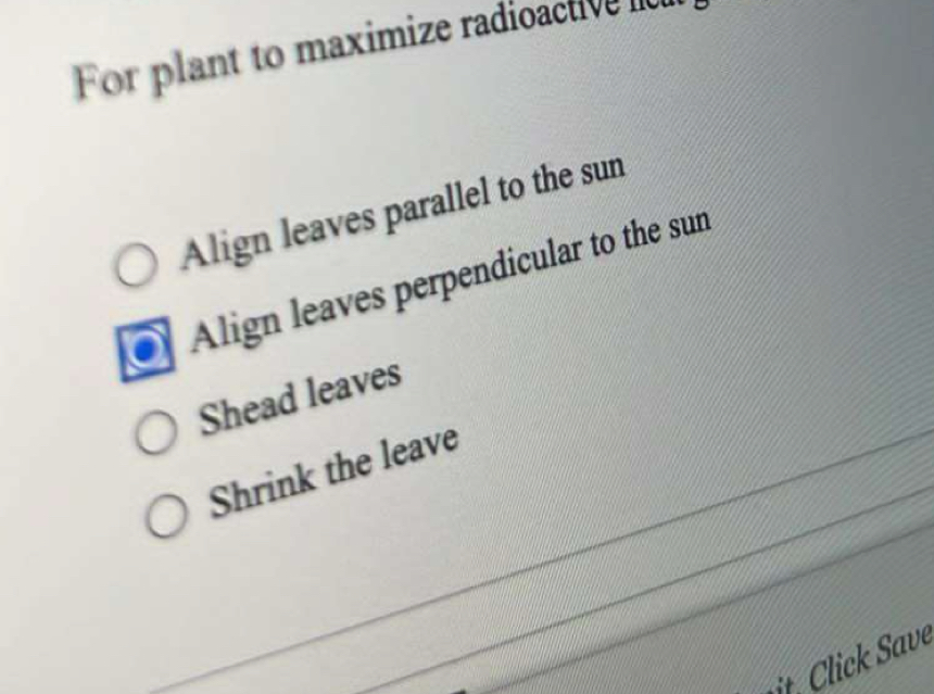 Solved For plant to ﻿maximize radioactive tivoAlign leaves | Chegg.com