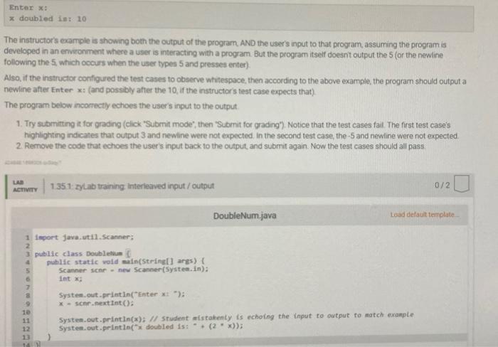 Solved The instructor's example is showing both the output | Chegg.com