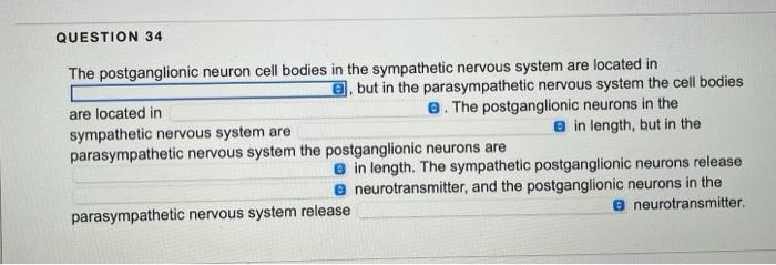 Solved QUESTION 34 The postganglionic neuron cell bodies in | Chegg.com