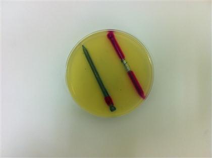 Solved this was the result that we got in the experiment - | Chegg.com