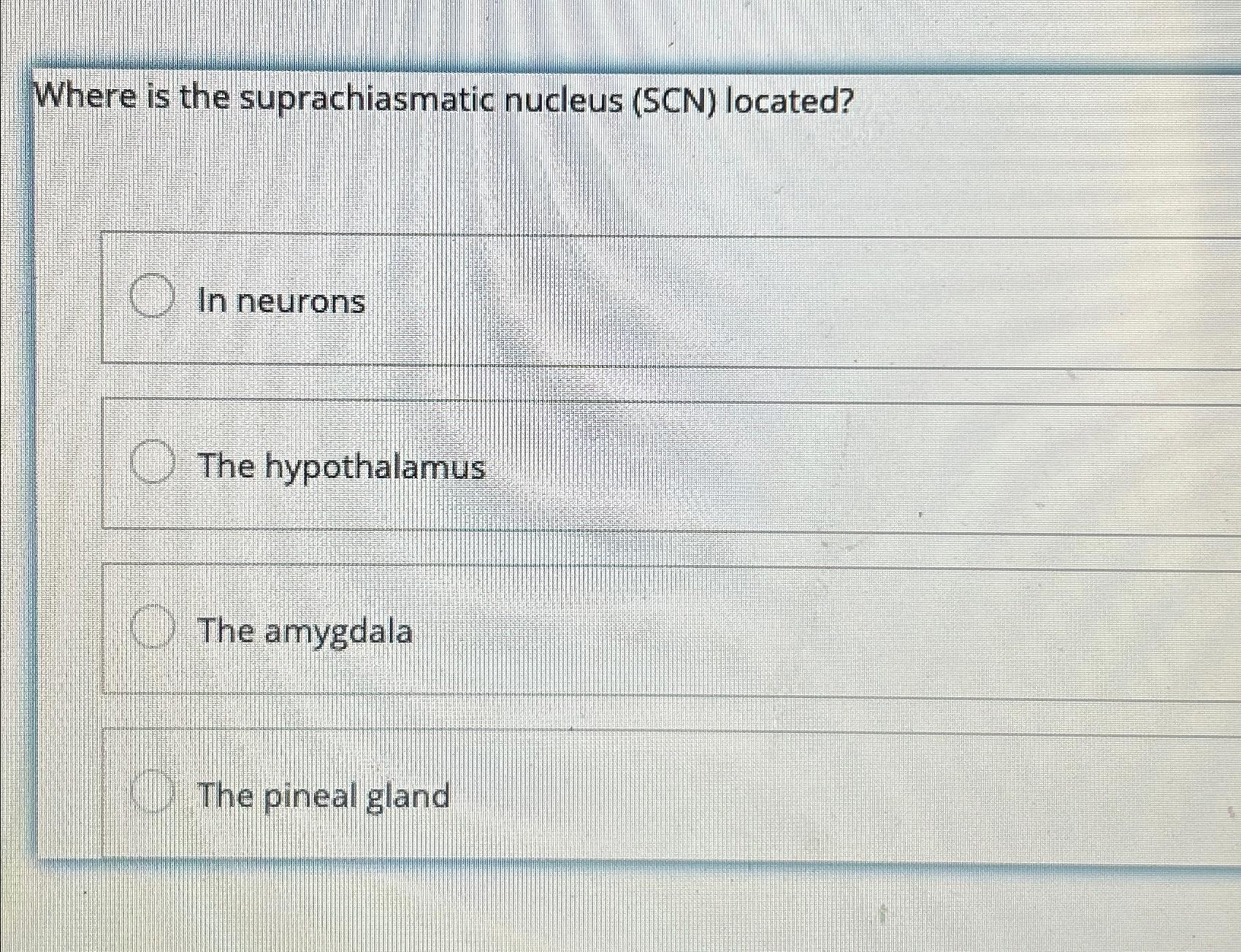 Solved Where Is The Suprachiasmatic Nucleus Scn
