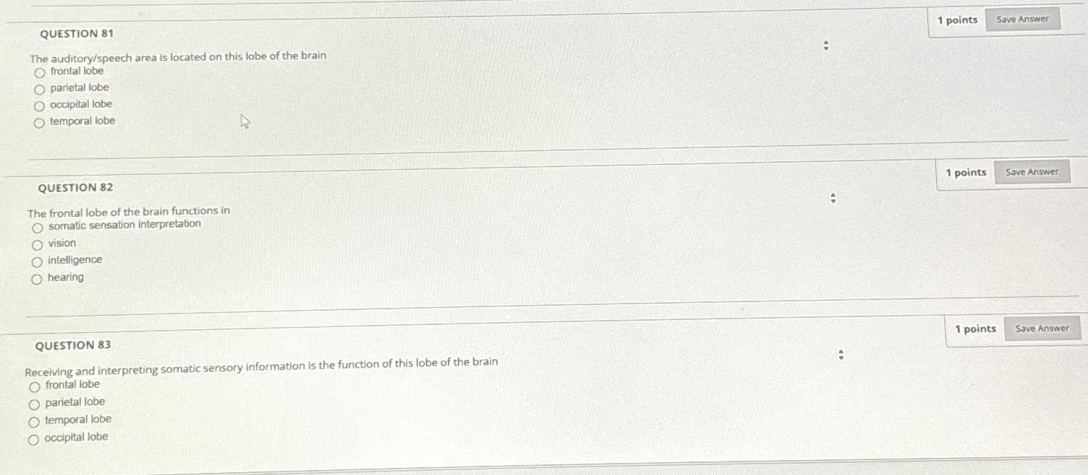 Solved QUESTION 811 ﻿pointsThe auditory/speech area is | Chegg.com