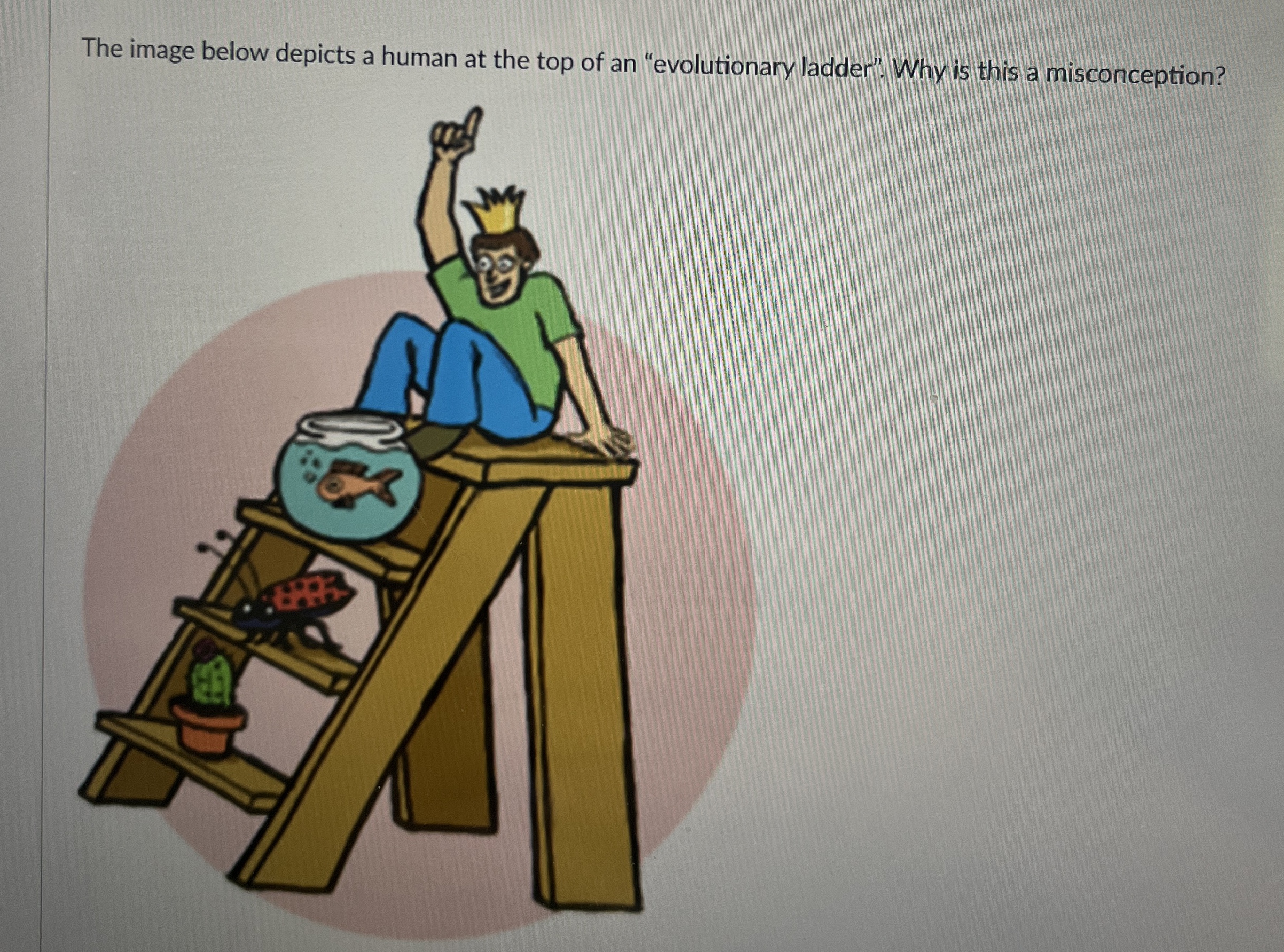 Solved The image below depicts a human at the top of an | Chegg.com