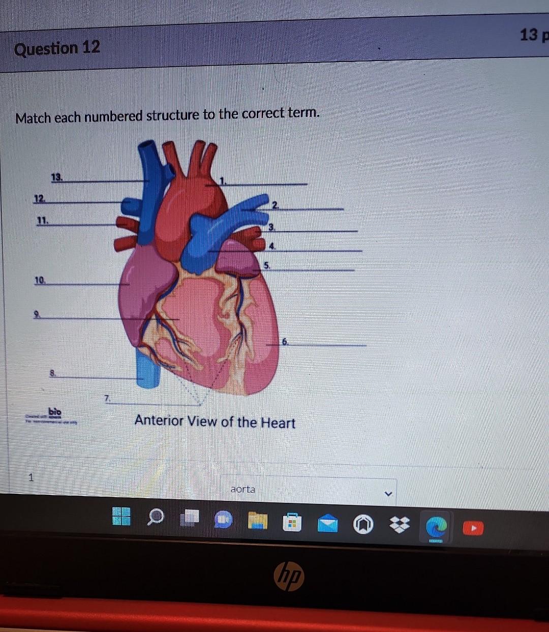 Solved 13 p Question 12 Match each numbered structure to the | Chegg.com