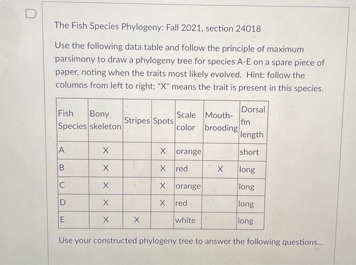 Solved The Fish Species Phylogeny: Fall 2021, section 24018 | Chegg.com