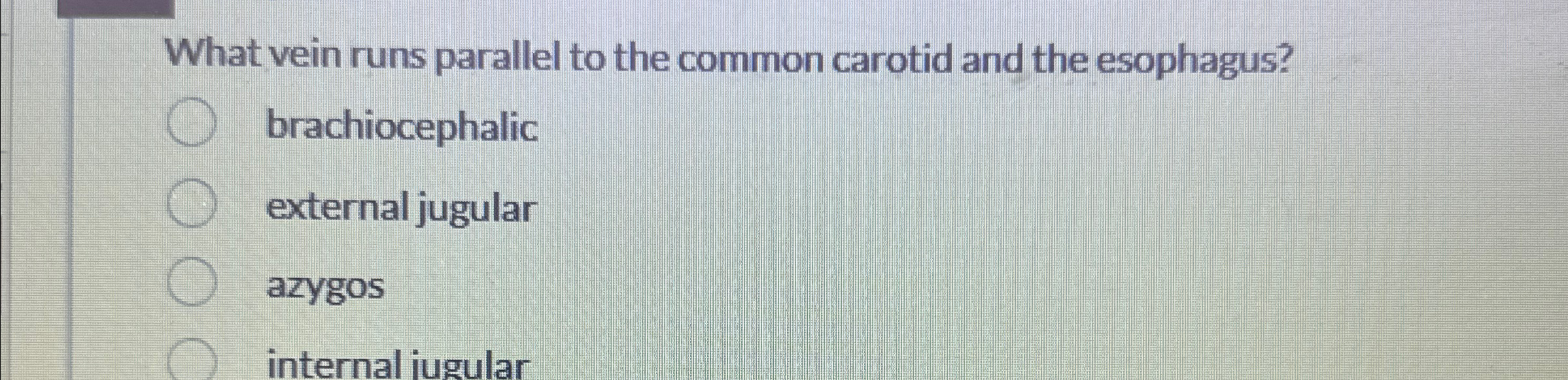 Solved What vein runs parallel to the common carotid and the | Chegg.com