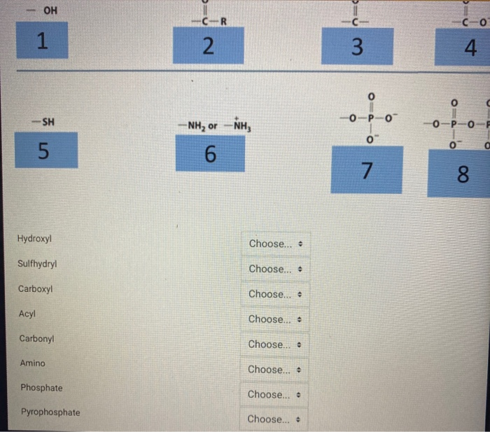 Solved Match the number with the correct functional group | Chegg.com