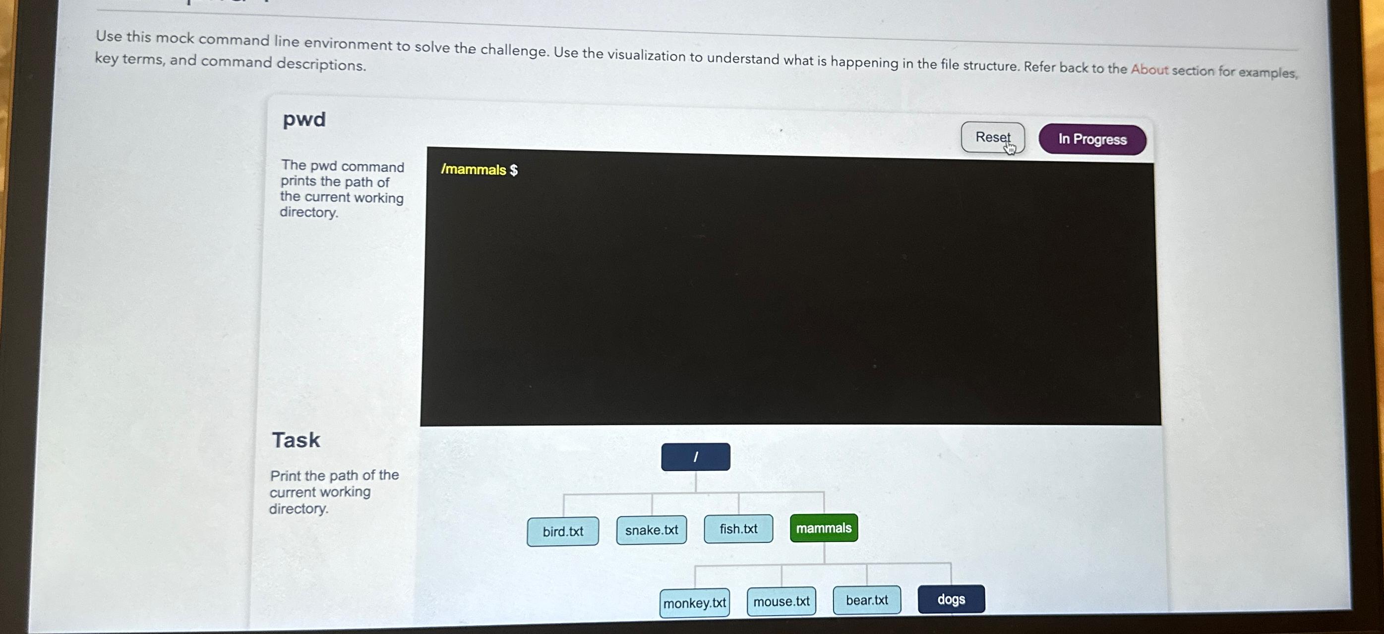 Solved key terms, and command descriptions.pwdThe pwd | Chegg.com