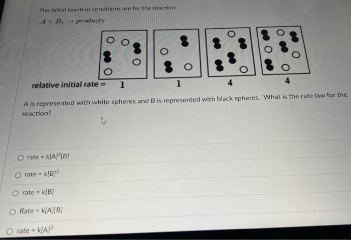 Solved The initial reaction conditions are for the reaction: | Chegg.com