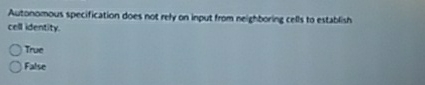 Solved Autonomous specification does not rety on input from | Chegg.com