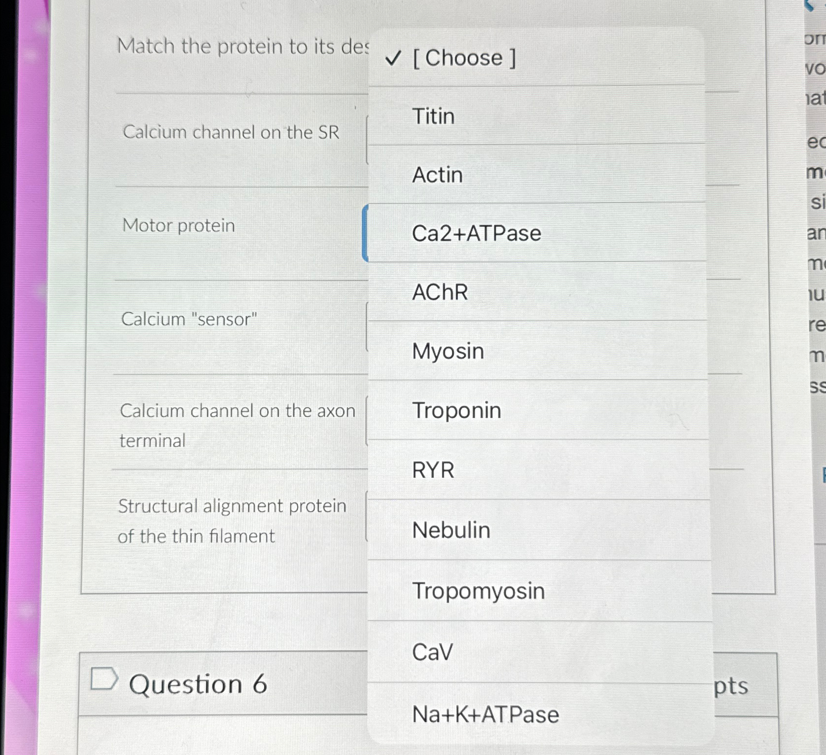 Solved Match the protein to its des [ ﻿Choose]Calcium | Chegg.com
