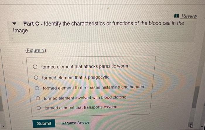 Figure(Figure 1) formed element with a multilobed | Chegg.com