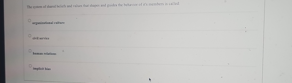 Solved The system of shared beliefs and values that shapes | Chegg.com