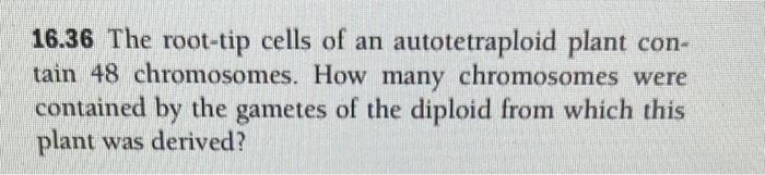 Solved 16.36 The root-tip cells of an autotetraploid plant | Chegg.com