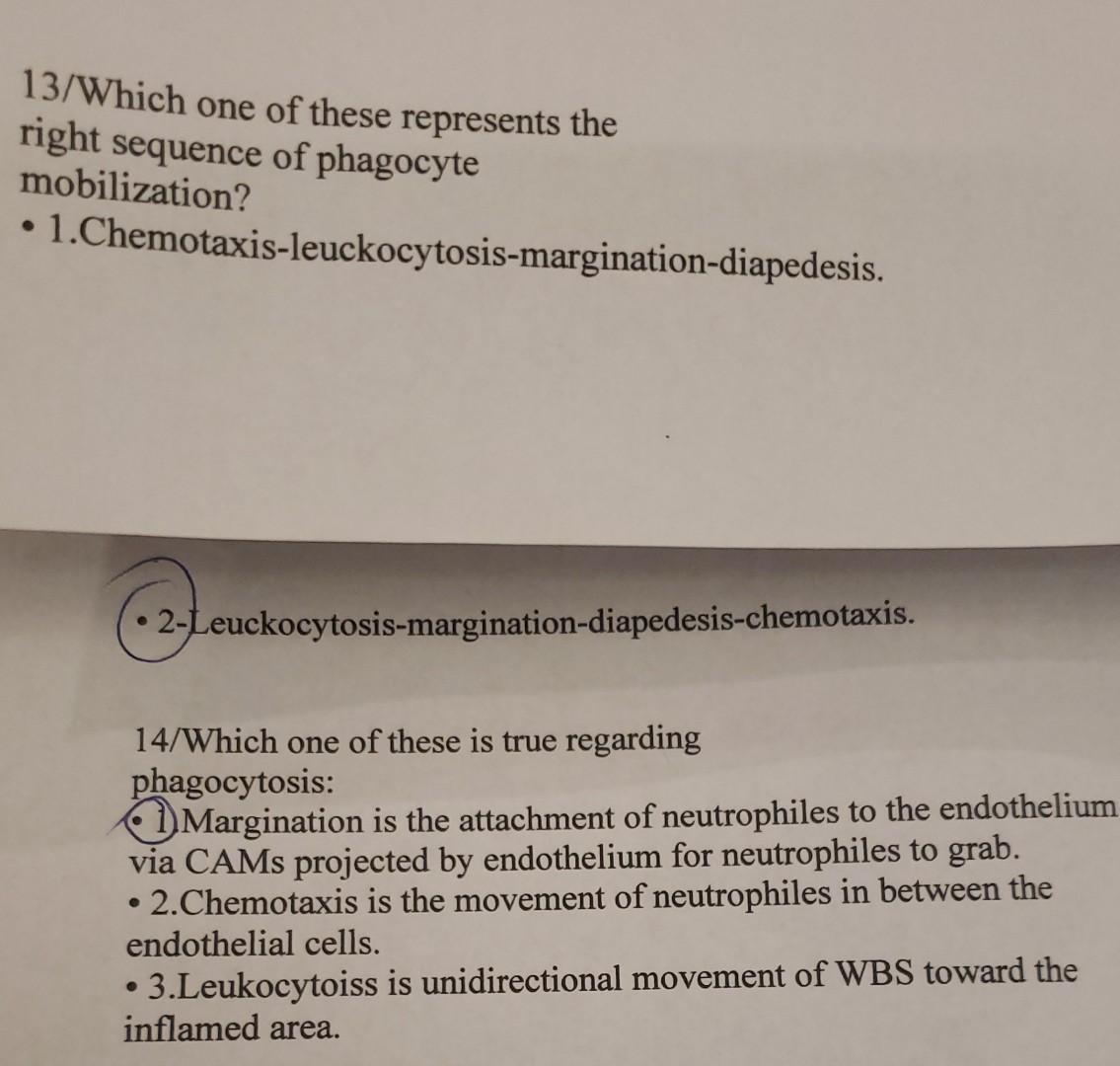 Solved 13/Which one of these represents the right sequence | Chegg.com