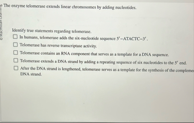 Solved The enzyme telomerase extends linear chromosomes by | Chegg.com