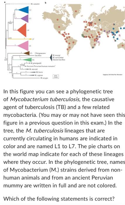 Solved In this figure you can see a phylogenetic tree of | Chegg.com