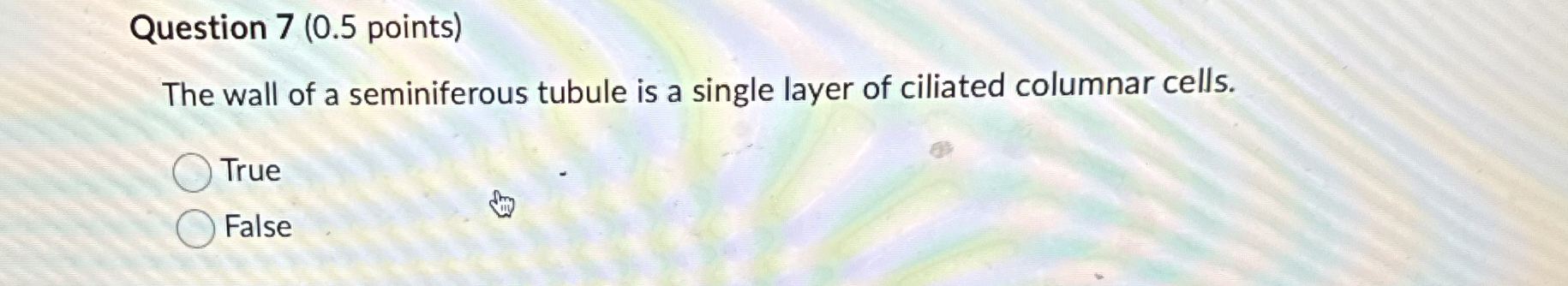 Solved Question 7 ( 0.5 ﻿points)The wall of a seminiferous | Chegg.com