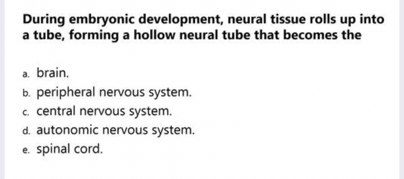 Solved During embryonic development, neural tissue rolls up | Chegg.com