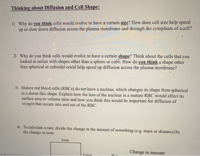 DIFFUSION POST-LAB Observation: Table 1: Calculating | Chegg.com