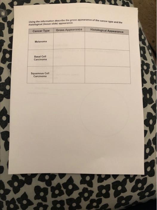 WEEK 3 --- The Integumentary System Skin Materials | Chegg.com