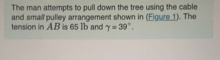 The man attempts to pull down the tree using the | Chegg.com