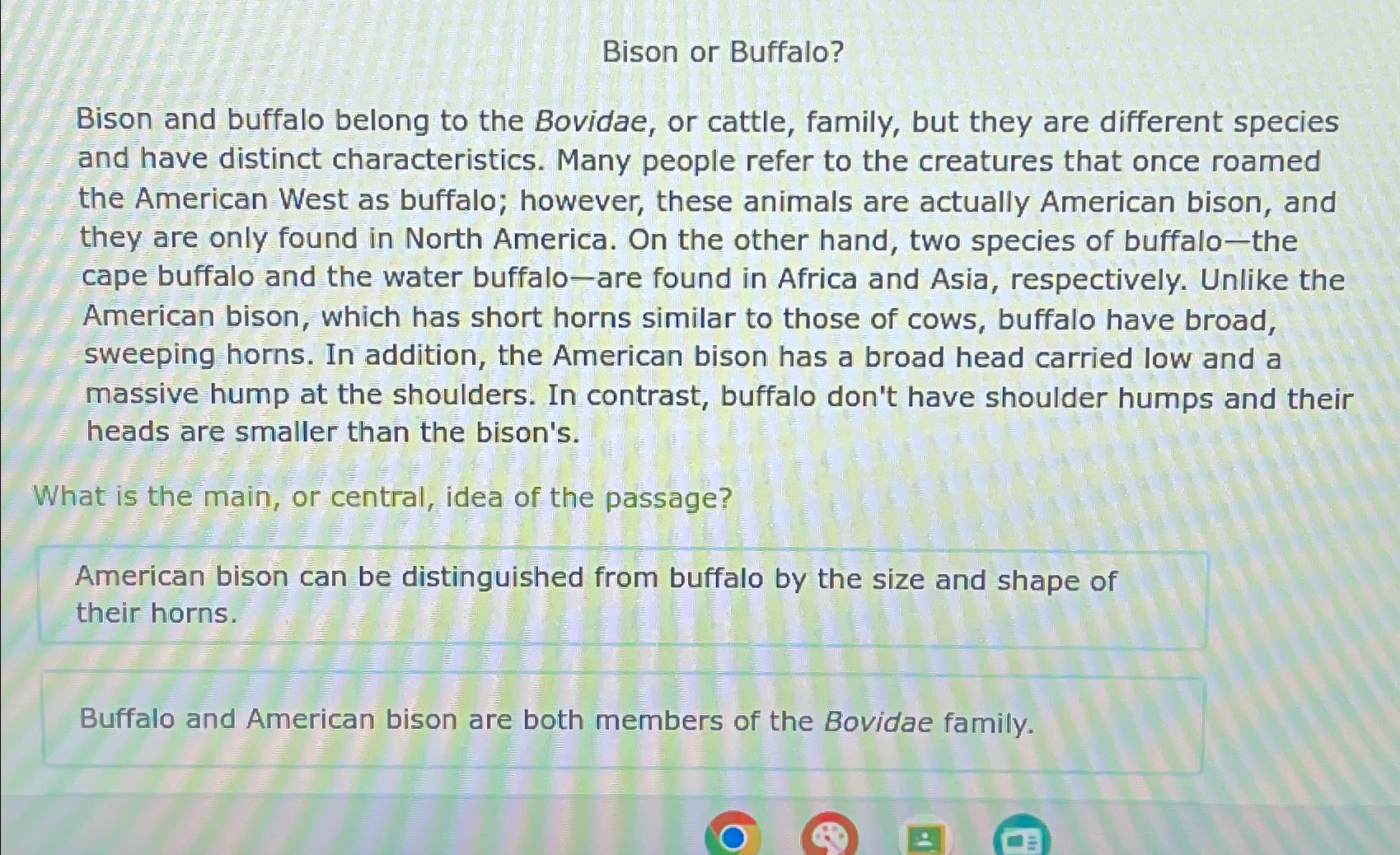 Solved Bison or Buffalo?Bison and buffalo belong to the | Chegg.com