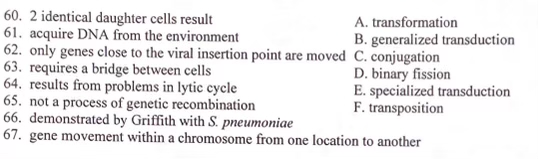 Solved 2 ﻿identical daughter cells resultA. | Chegg.com