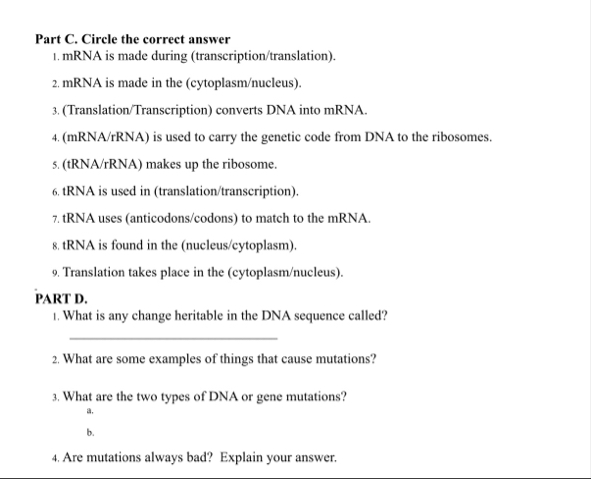 Solved Part C. ﻿Circle the correct answermRNA is made during | Chegg.com