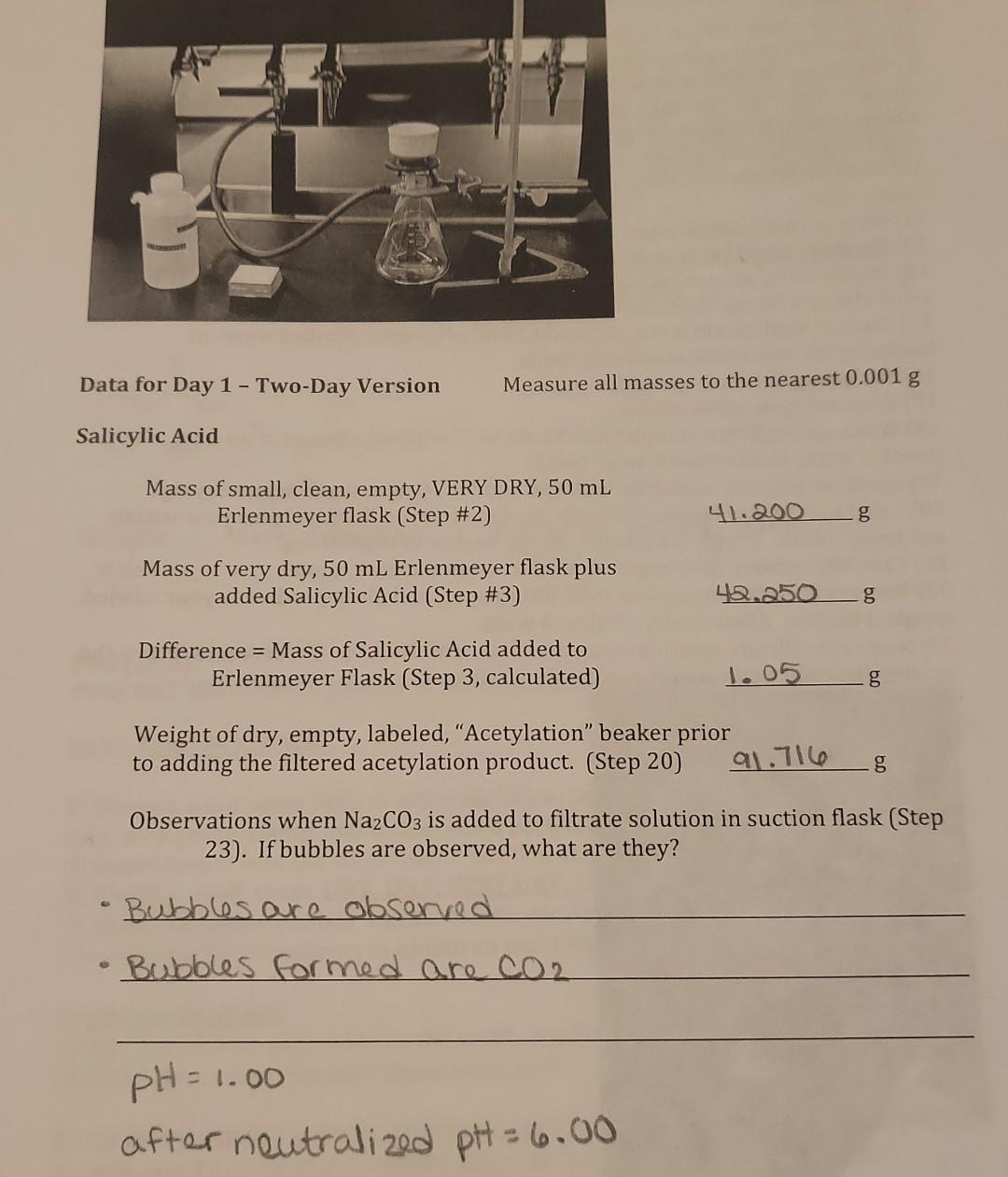 Data for Day 1 - Two-Day Version Measure all masses | Chegg.com