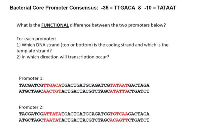 Solved Bacterial Core Promoter Consensus: −35= TTGACA \& | Chegg.com