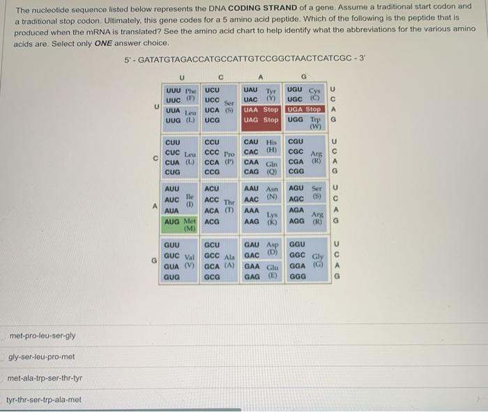 Solved The nucleotide sequence listed below represents the | Chegg.com