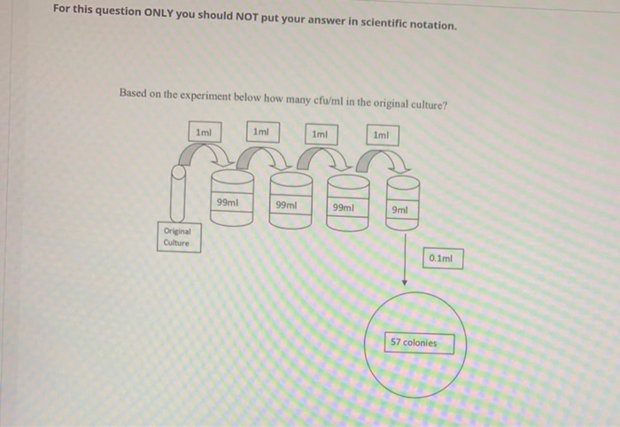Solved For this question ONLY you should NOT put your answer | Chegg.com