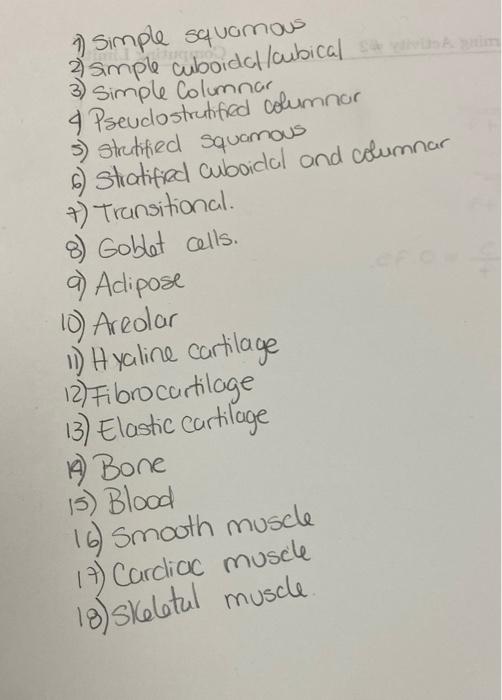 Solved 4.) (7 points) Build a dichotomous key to all the | Chegg.com