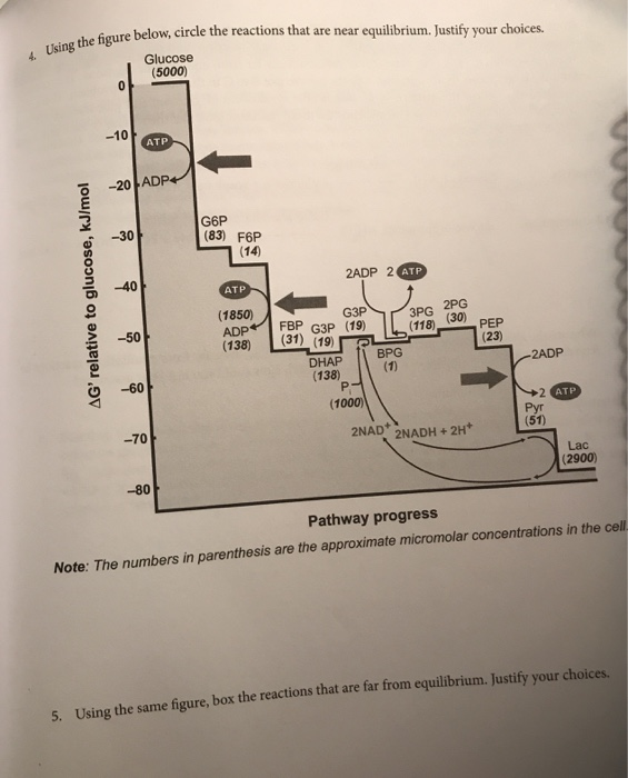 Solved gure below, circle the reactions that are near | Chegg.com