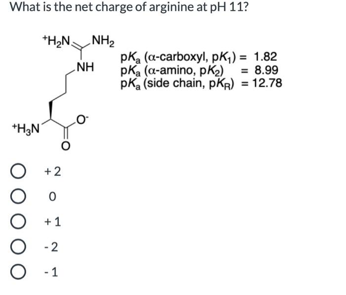 Solved Which amino acid is the following structure? ОН. +H3N | Chegg.com
