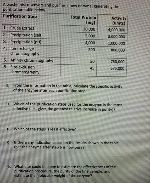 Solved A biochemist discovers and purifies a new enzyme, | Chegg.com