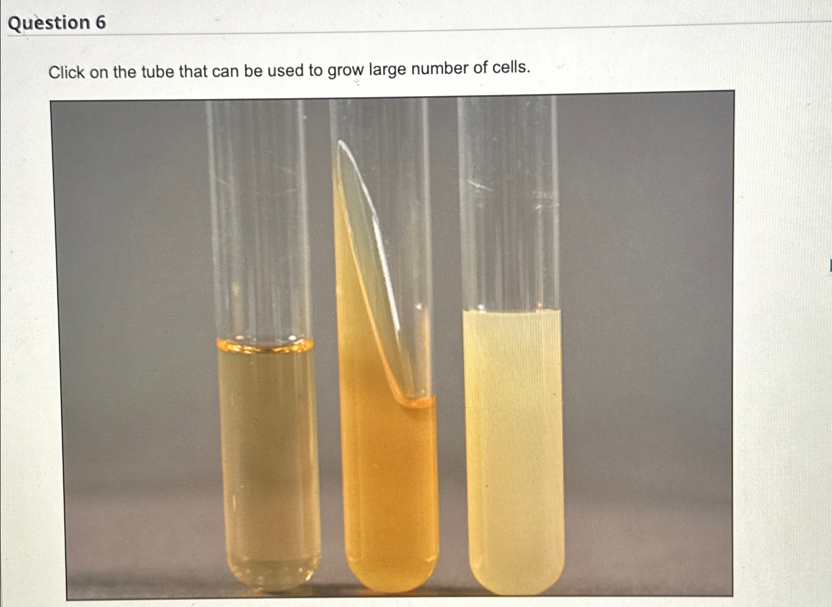 Solved Question 6Click on the tube that can be used to grow | Chegg.com
