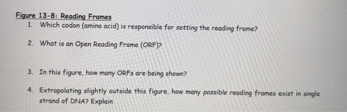 Solved Figure 13-8: Reading Frames 1. Which codon (amino | Chegg.com