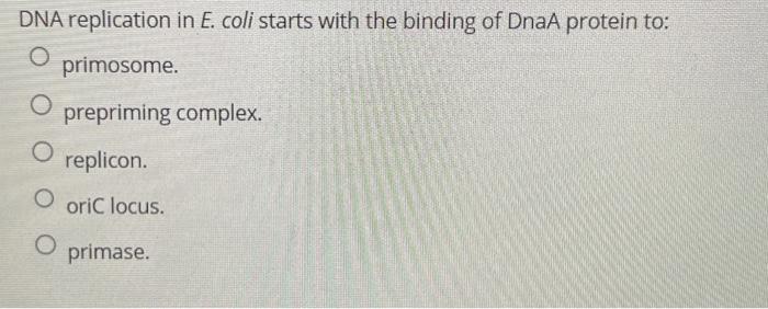 Solved DNA replication in E. coli starts with the binding of | Chegg.com