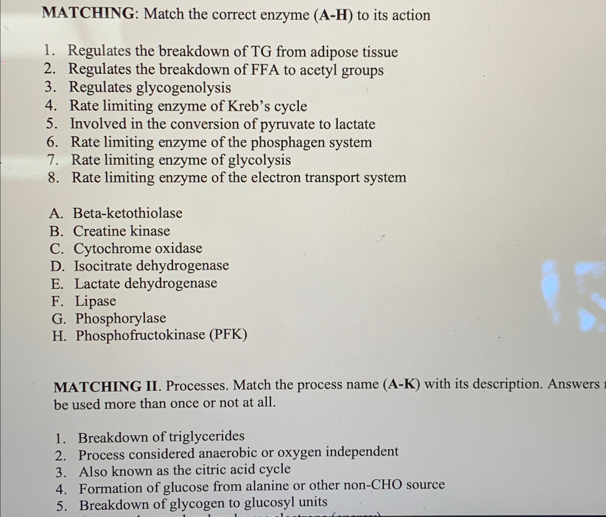 Solved MATCHING: Match the correct enzyme (A-H) ﻿to its | Chegg.com