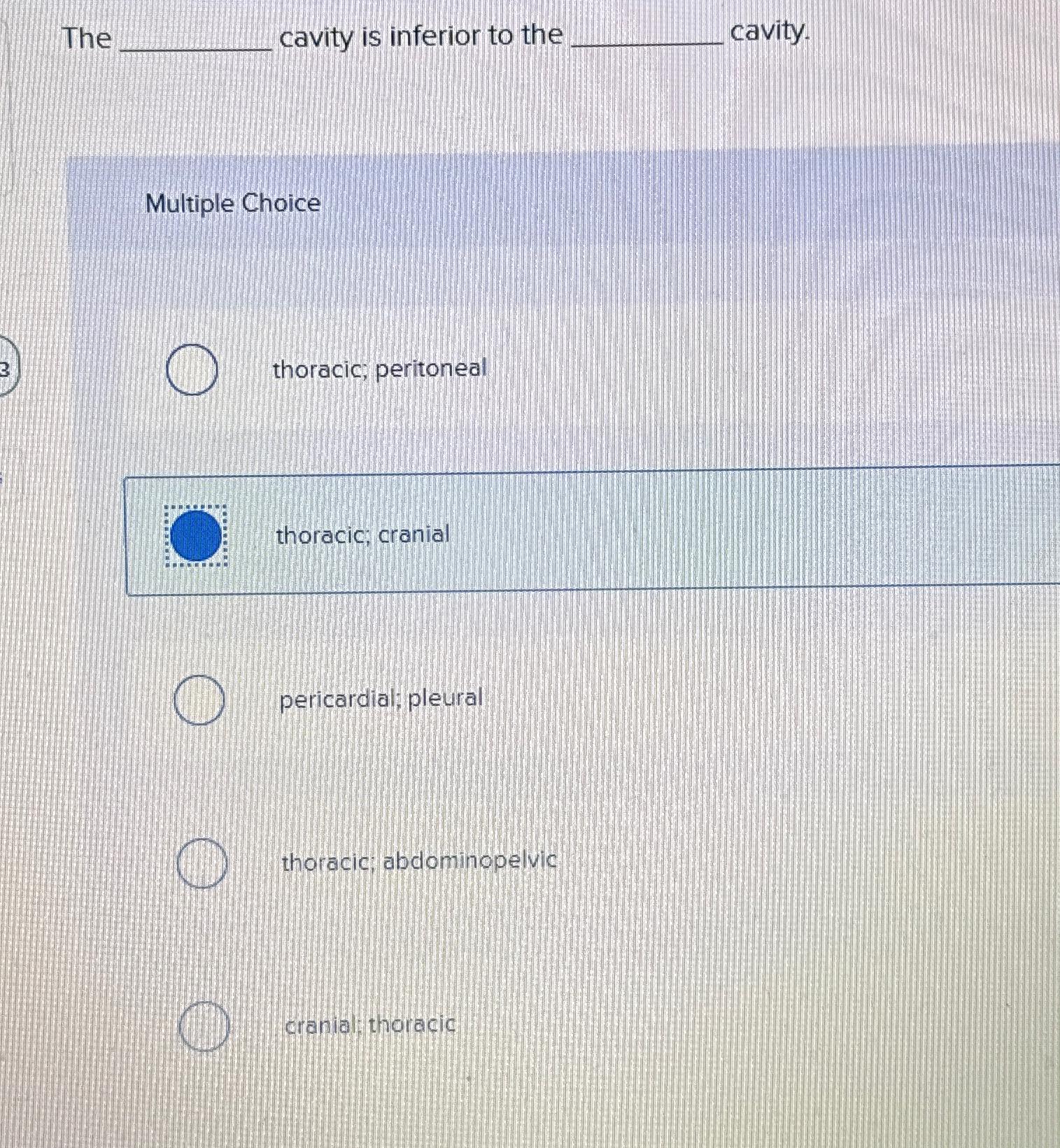 Solved Thecavity is inferior to thecavity.Multiple | Chegg.com