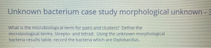 Solved Unknown bacterium case study morphological unknown - | Chegg.com