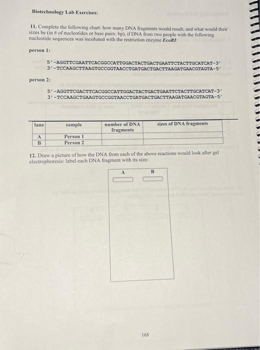 Solved Biotechnology Lab Exercises: 11. Complete the | Chegg.com